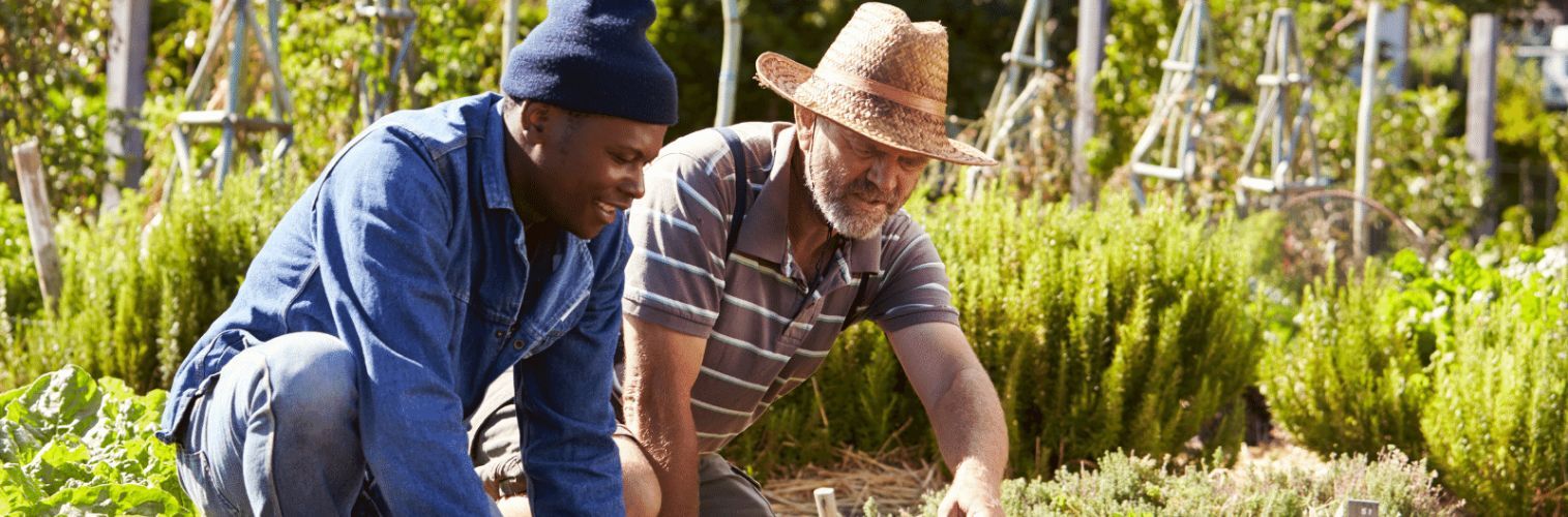 How community development builds resilient neighbourhoods